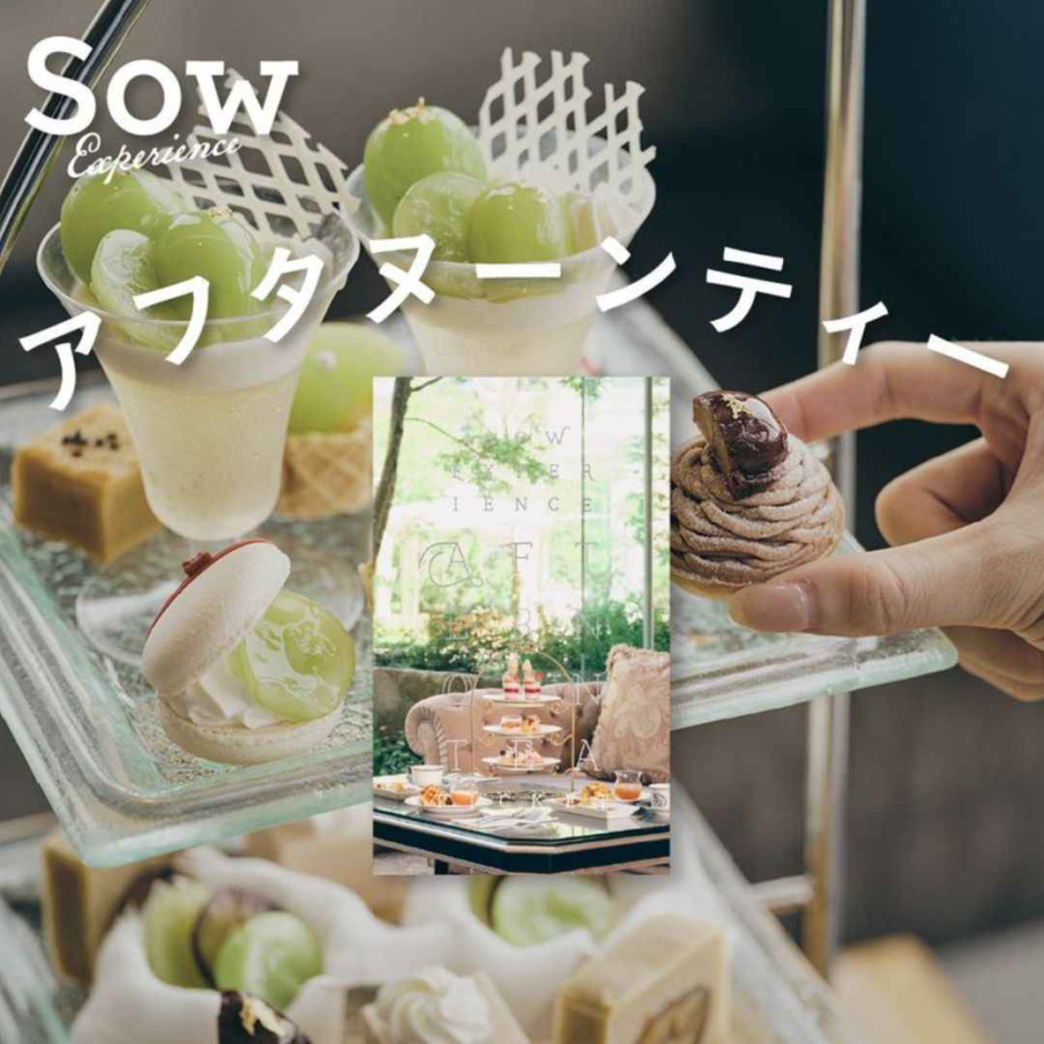 【5年記念日プレゼント】彼氏・彼女向け人気プレゼント12選｜PsyPre