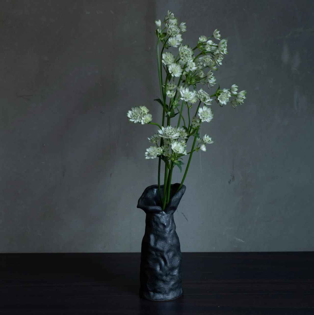 成人祝いはいつ渡すのが正解？適切なタイミングとマナーを解説｜PsyPre